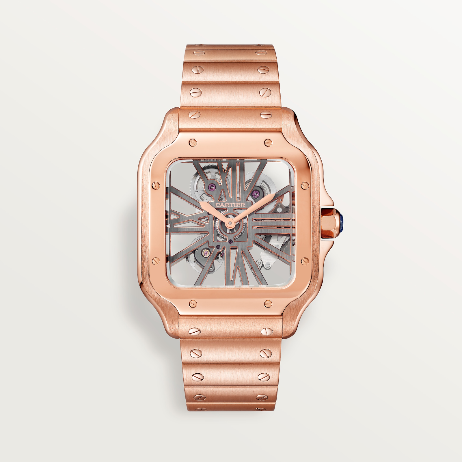 Santos de Cartier watch – Padani