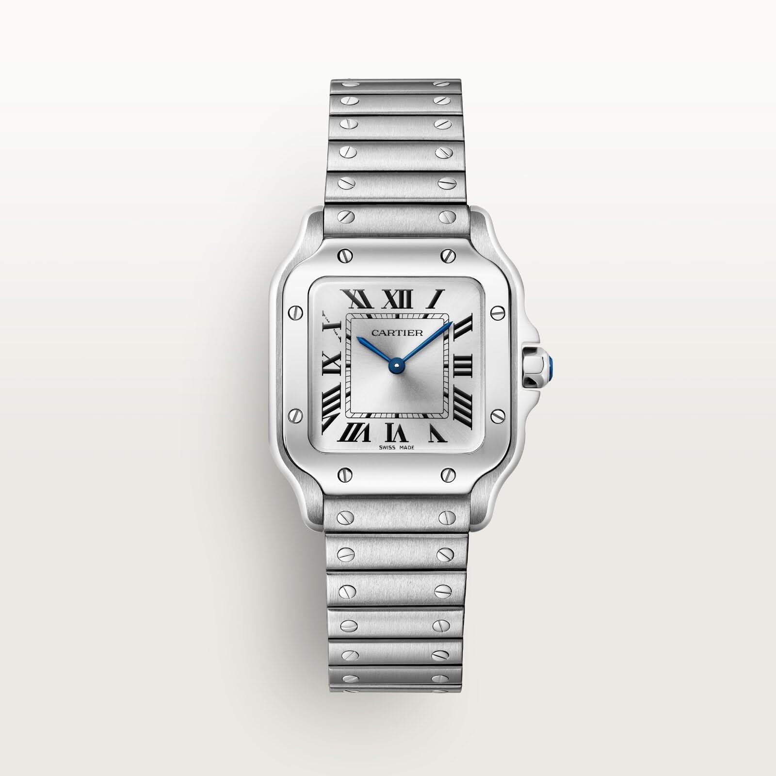 Santos de Cartier watch – Padani